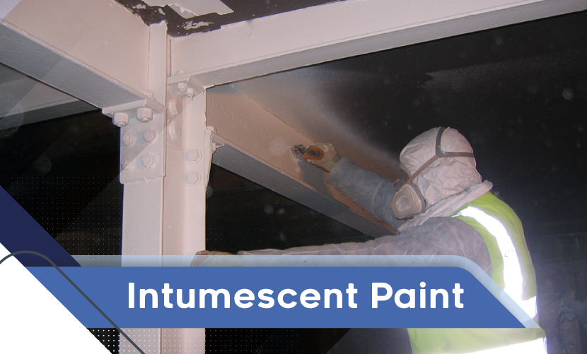 CSI: CONSTRUCTIONS SOLUTIONS PRODUCTS INC