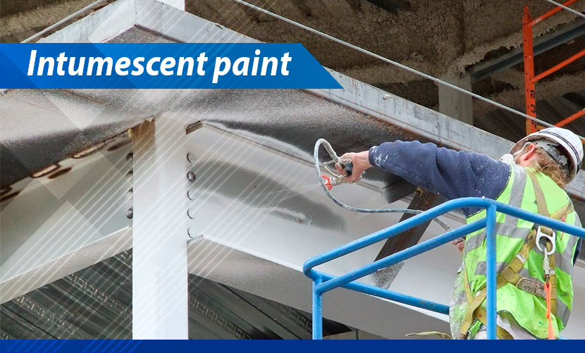 CSI: CONSTRUCTIONS SOLUTIONS PRODUCTS INC